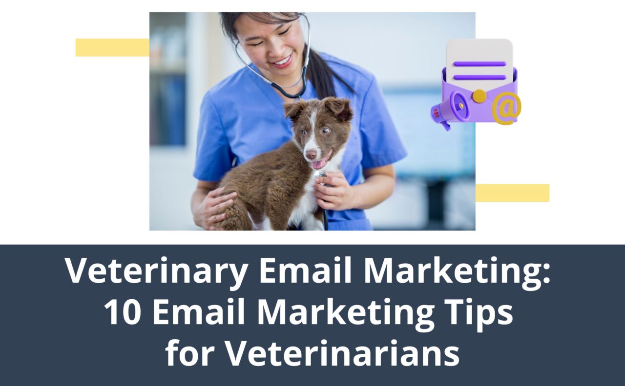 Veterinary Email Marketing: 10 Email Marketing Tips for Veterinarians ...